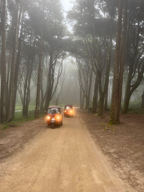 Around Pena Palace Tuk Tuk Tour - Final Thoughts: Is It Worth It?