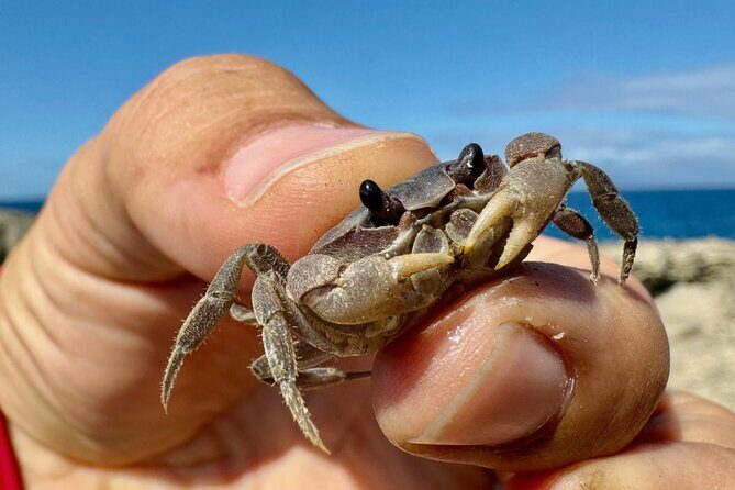 Around the Island Tour From San Juan - The Sum Up