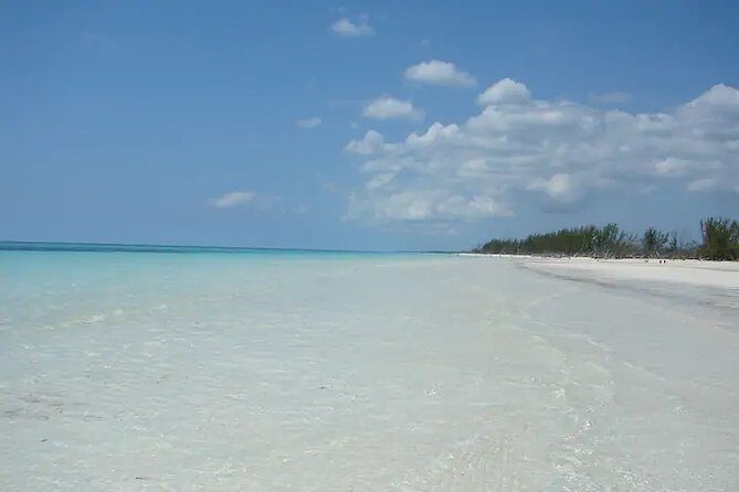 Around Town/Bahamian Cooking Experience - A Deep Dive into the Experience