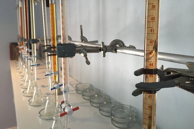 Around Town/Bahamian Cooking Experience - What Could Be Better?