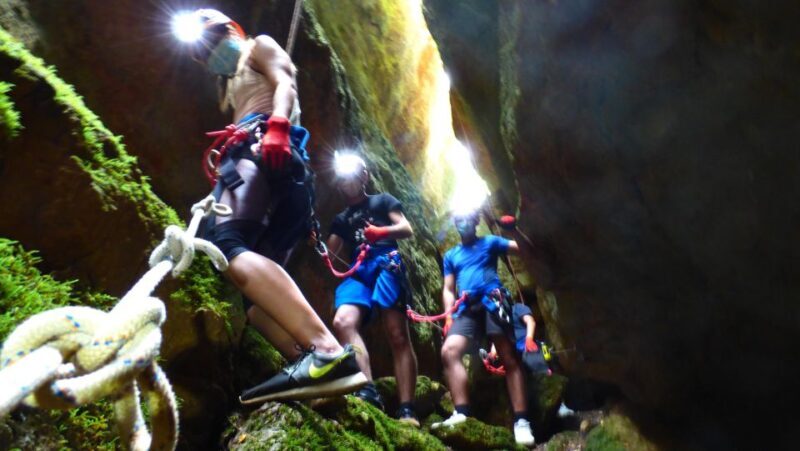 Arrábida: Arrábida Adventure Circuit Tour - Exploring the Arrábida Adventure Circuit: What to Expect