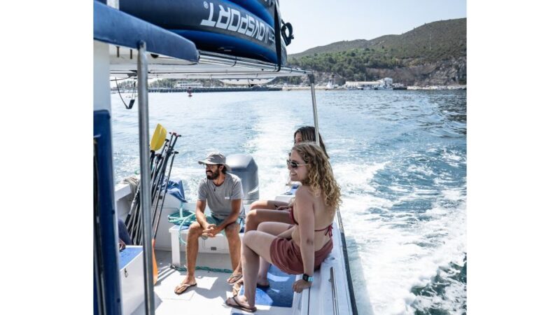 Arrábida: Boat tour along the heart of Sesimbra - A Closer Look at the Experience
