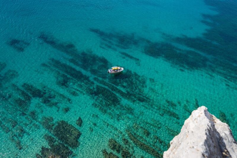 Arrábida: Boat tour along the heart of Sesimbra - Pricing and Value