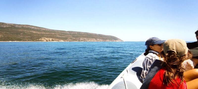 Arrábida: Boat Tour Experience / Lisbon Transfer available - The Heart of the Tour: A Closer Look at the Experience