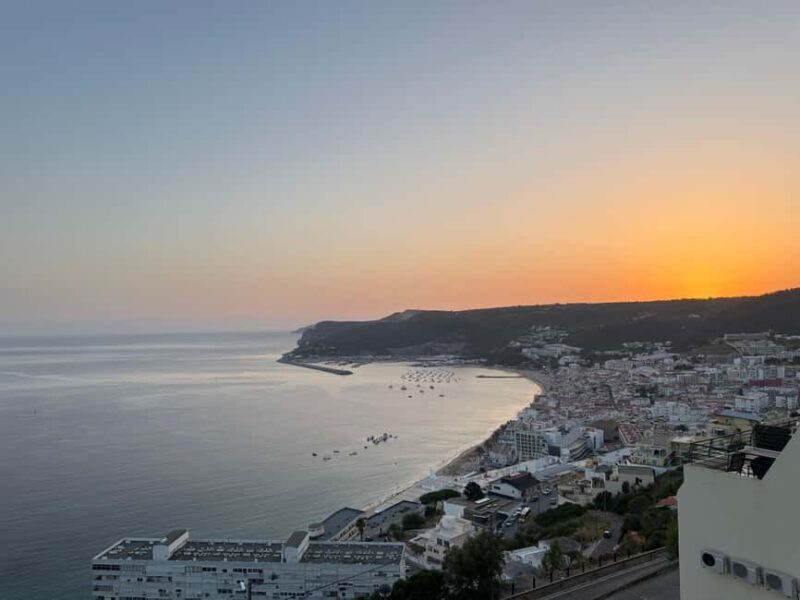 Arrábida - Fantastic dolphin tour - Key Points