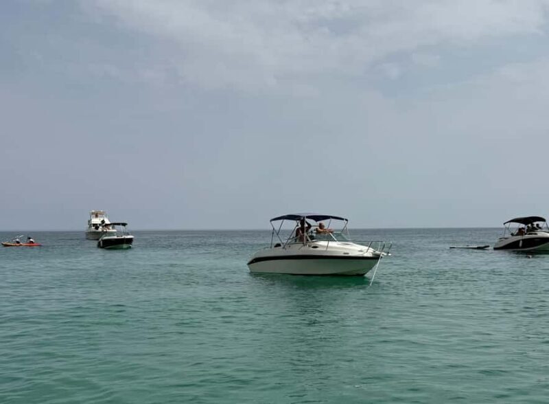 Arrábida - Fantastic dolphin tour - An Authentic, Well-Structured Day in Arrábida