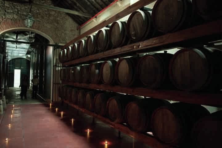 Arrábida: Full-Day Private Tour with Wine Tasting - Who Is This Tour Best For?