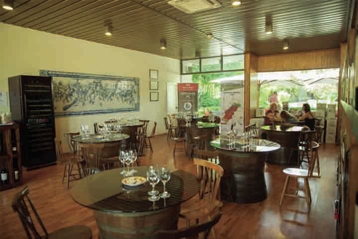 Arrábida: Full-Day Private Tour with Wine Tasting - Authentic Experiences and Guest Feedback