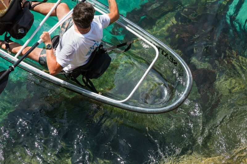 Arrábida: Guided Transparent Kayaking Tour - The Experience at a Glance