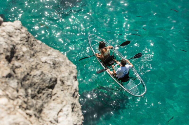 Arrábida: Guided Transparent Kayaking Tour - Why You Should Consider This Tour