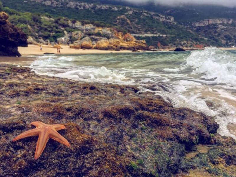 Arrábida Jeep tour to the most beautiful beach of Europe - Final Thoughts
