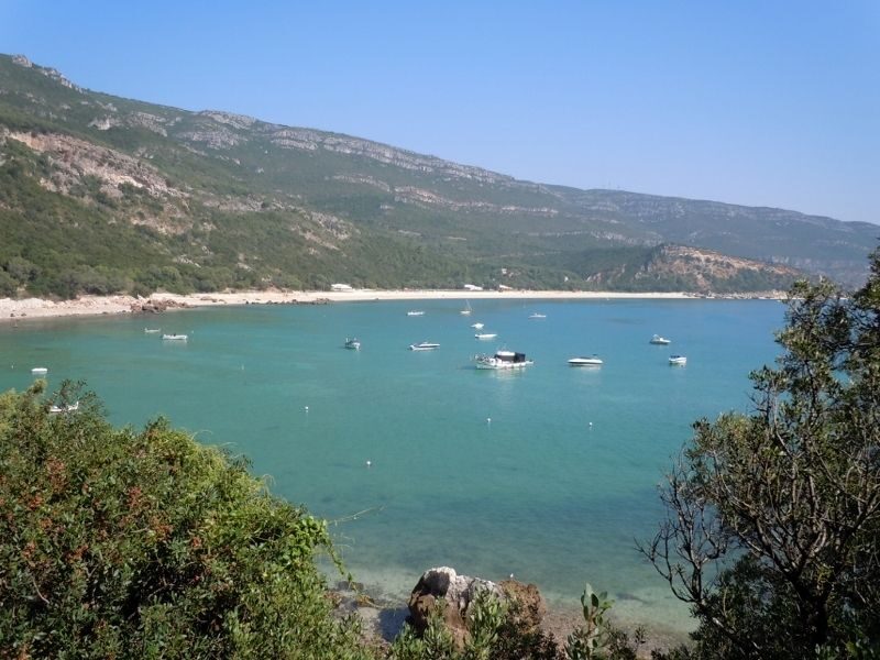 Arrabida Natural Park Full-Day Private Tour from Lisbon - Key Points