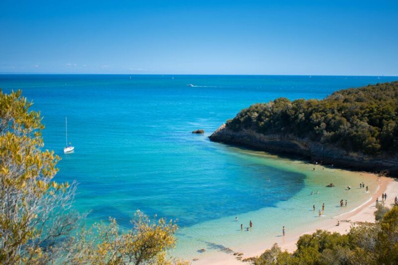 Arrabida Natural Park Full-Day Private Tour from Lisbon - Who Will Love This Tour?