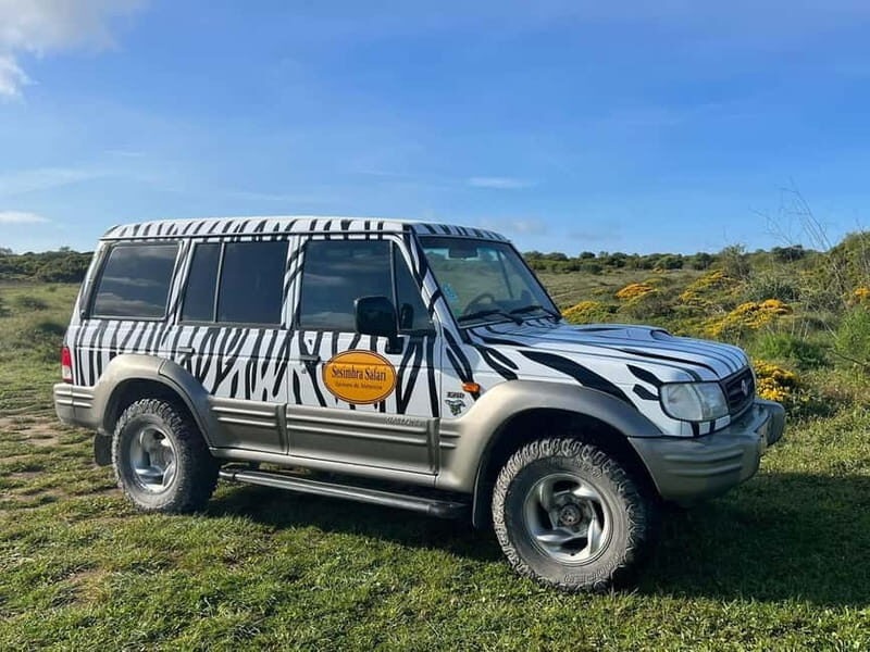 Arrábida - Sesimbra: Jeep Tour and Wine Tasting at Azeitão - Who This Tour Is Perfect For