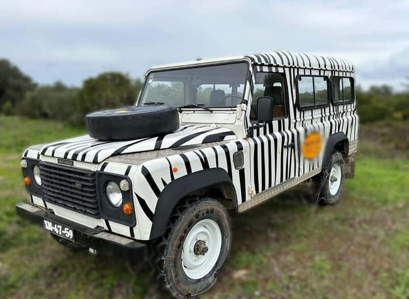 Arrábida - Sesimbra: Jeep Tour From Cabo Espichel to Lagoa - The Sum Up: A Solid Coastal Snapshot