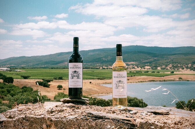 Arrábida, Setúbal and the Blue Coast - Private Van Tour - Authentic Experiences and Highlights from Reviewers