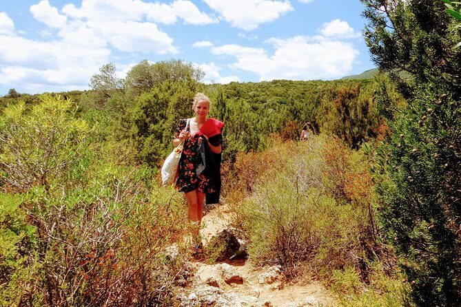 Arrábida Snorkeling Adventure with Transfer from Lisbon - Key Points