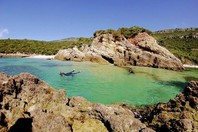 Arrábida Snorkeling Adventure with Transfer from Lisbon - Analyzing the Value and Practical Aspects