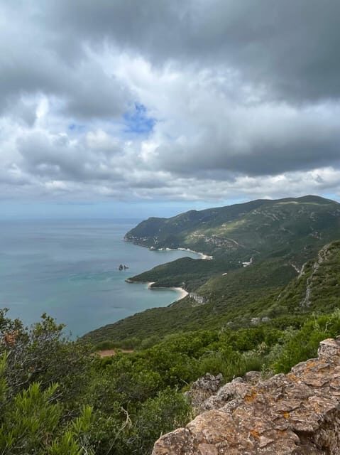 Arrábida: Wine Tour & Tastings Day Tour (Private) - The Itinerary: A Deep Dive into the Day