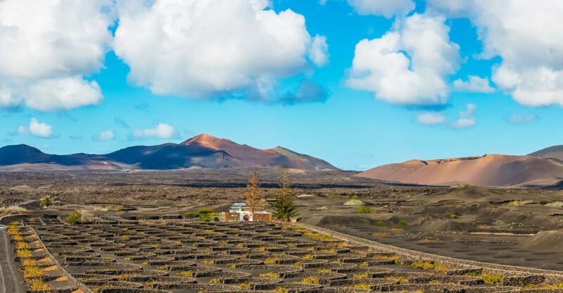 Arrecife: Timanfaya and Green Lagoon for Cruise Passengers - Frequently Asked Questions