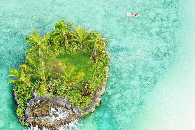 Arrival Honolulu Airport HNL to Honolulu - Waikiki by Luxury Car - Who Is This Tour Best For?