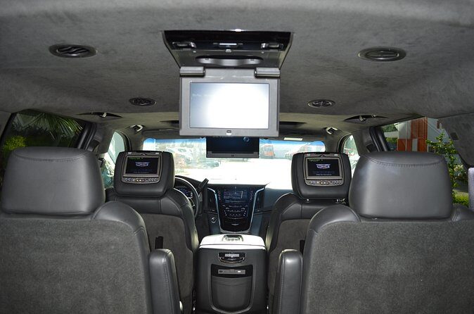 Arrival Luxury Transportation: Punta Cana International Airport to Hotels (1-5) - Who Should Opt for This Service?