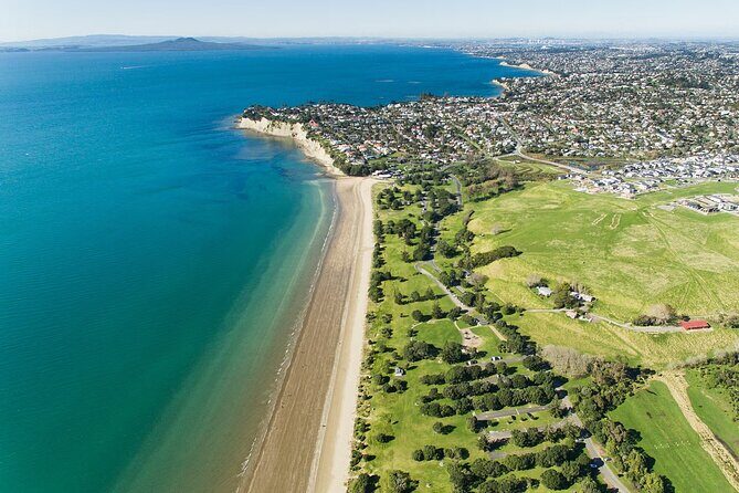 Arrival Private Transfer: Auckland Airport AKL to Auckland City by Luxury Van - Why This Transfer Is Worth Considering