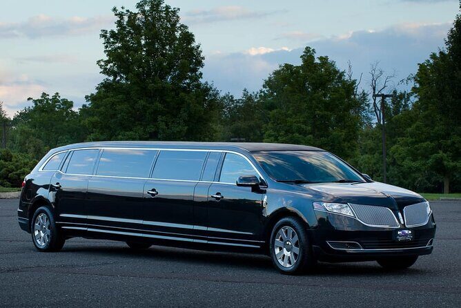 Arrival Private Transfer Port Canaveral to Orlando by Bus or Limo - Introduction: Why Consider a Private Transfer?