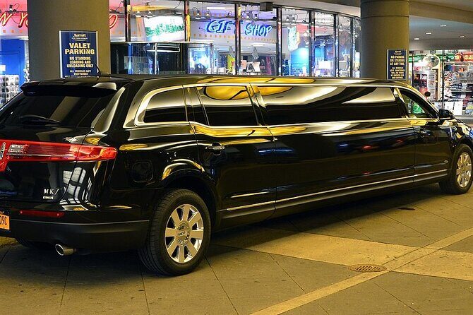 Arrival Private Transfer Port Canaveral to Orlando by Bus or Limo - Additional Info and Practical Tips
