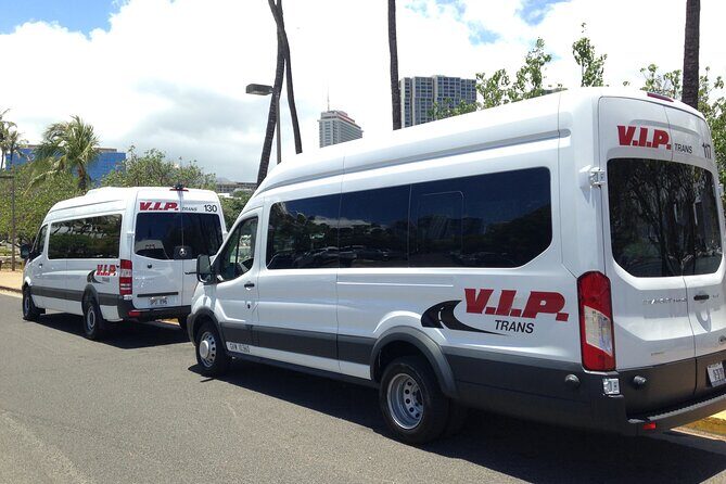 Arrival Trasfer: Airport Shuttle Honolulu and Cruise Terminal - What Travelers Say: Authentic Experiences from the Reviews