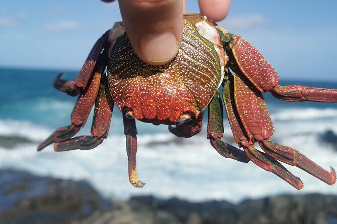 Arround Gran Canaria All Highlights Private Shore Excursion - Who Will Love This Tour?
