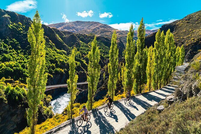 Arrowtown to Gibbston: Full-Day Bike & Wine Tour - A Deep Dive into the Experience