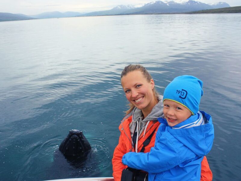 Árskógssandur: Whale-Watching Boat Trip - Key Points