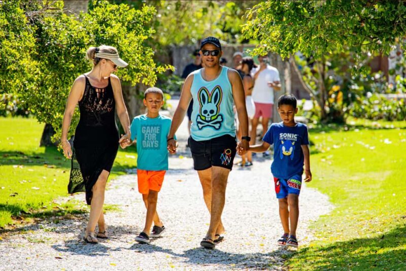 Art and Forest Way Combo Full Day Tour - Key Points