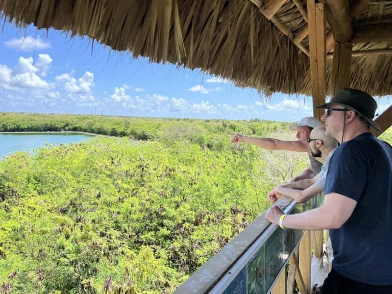 Art And Forest Way Half Day Tour - What Travelers Are Saying