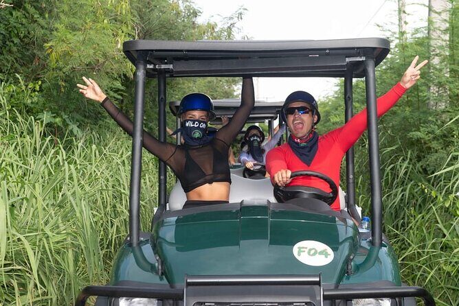 Art And Forest Way Half Day Tour - Key Points