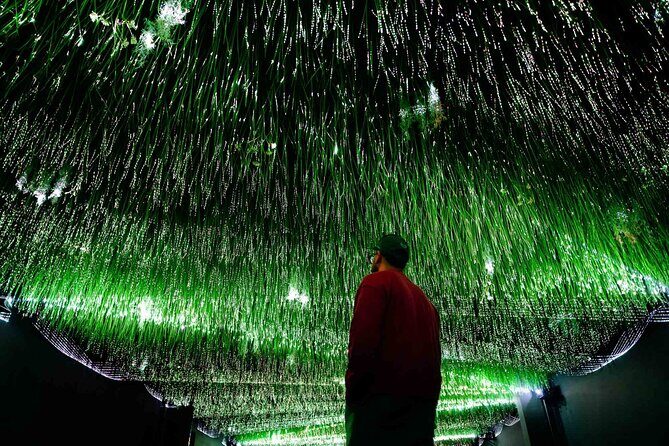 Art Club is an Immersive Museum of New Media Artworks at POST. - Introduction
