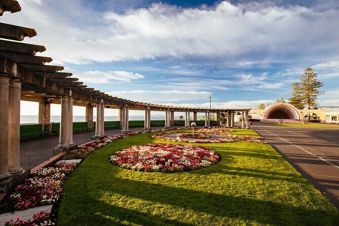 Art Deco Walking Private Tour from Napier Cruise Port - Why Choose This Tour?