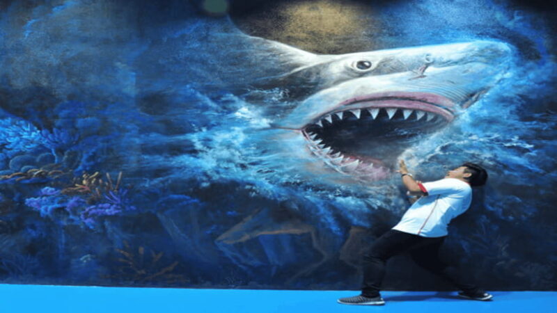 Art in Paradise 3D Museum Discounted Ticket - Practical Details and Considerations