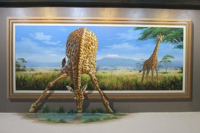 Art in Paradise: Chiang Mai 3D Art Museum Experience - A Closer Look at the Experience