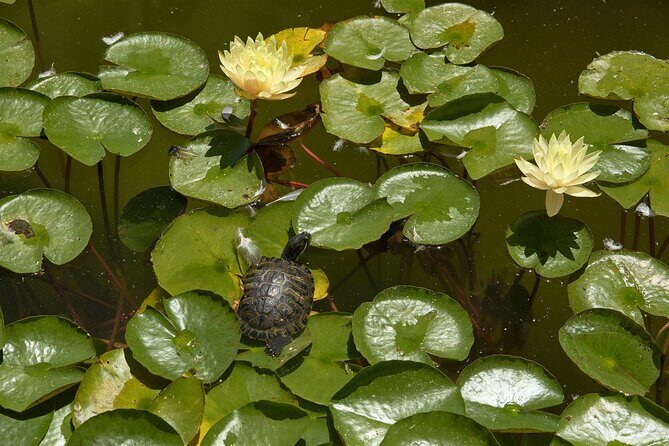 Art of Balboa Park Walking Tour - Who Will Love This Tour?