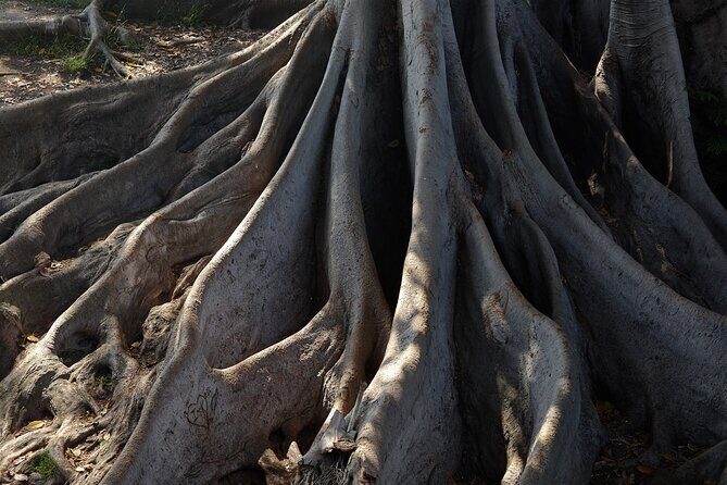 Art of Balboa Park Walking Tour - FAQ Section