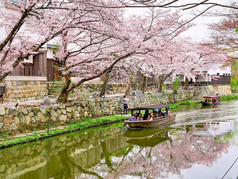 Art Pavilion × Night SakuraKansai Spring Day Tour - Transportation and Practicalities