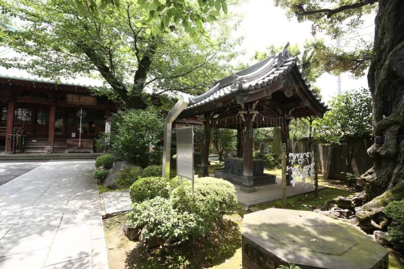 Art Tour: Tokyo national museum and Ueno-Yanaka walking tour - Exploring the Tokyo National Museum