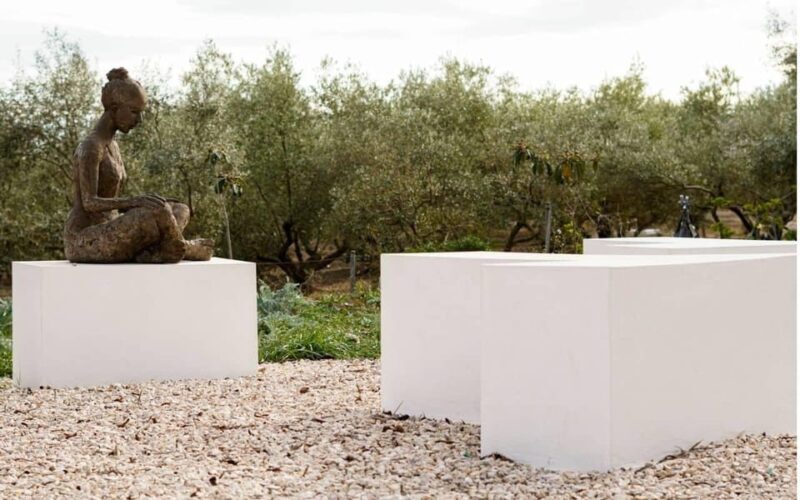 Arte-Contemporary: Sculpture Park and Art Gallery visit - Practical Details That Matter