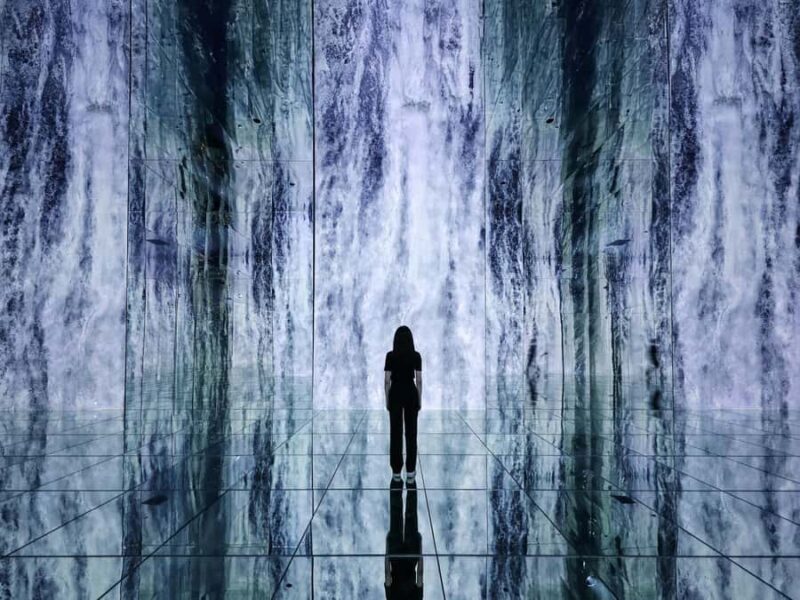 Arte Museum New York: An Immersive Media Art Exhibition - Practical Details and Tips