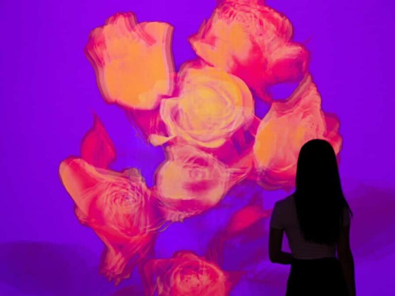 Arte Museum New York: An Immersive Media Art Exhibition - The Sum Up: Who Should Consider Visiting?