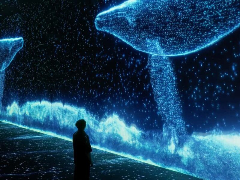 Arte Museum New York: An Immersive Media Art Exhibition - FAQ