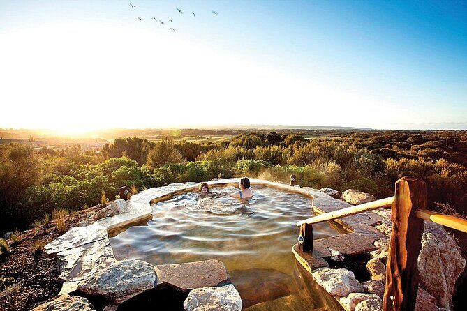 Arthur Seat Eagle Cable Car and Mornington Peninsula Hot Springs - An In-Depth Look at the Tour Itinerary