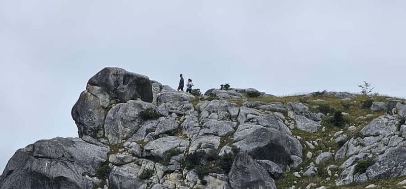 Arthurs Pass Alpine Explorer Day Tour from Christchurch - Who Will Love This Tour?